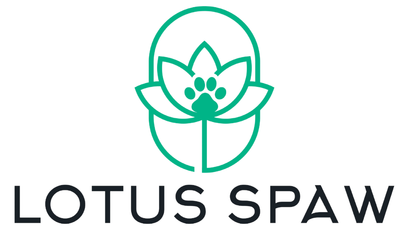 Dog grooming Jacksonville Fl-Mobile dog grooming|Lotus Spaw